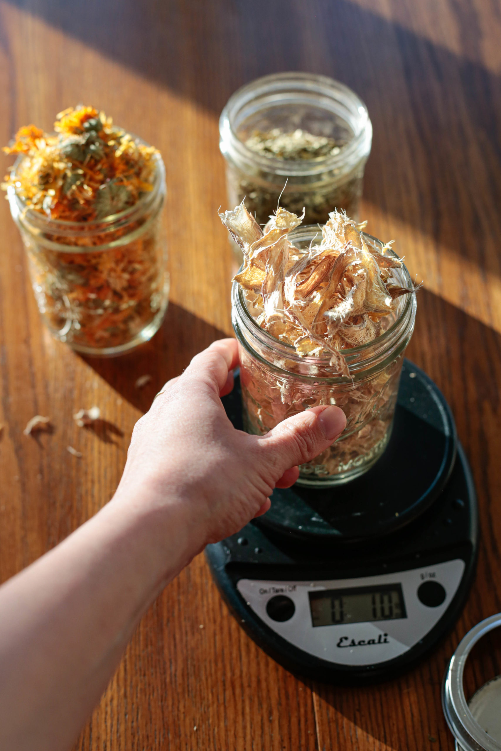 Deep Warmth: Ginger Infused Body Oil | Little Green Dot